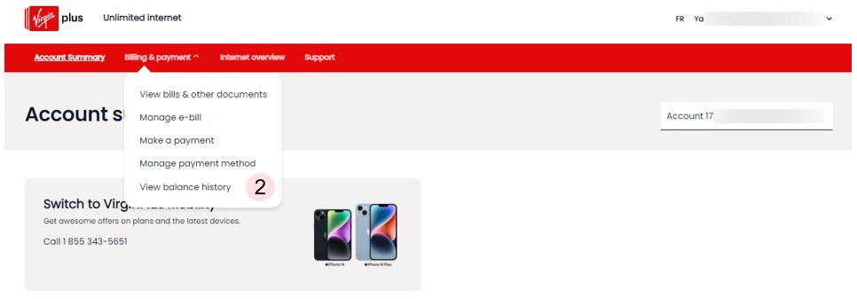 View Account Balance History